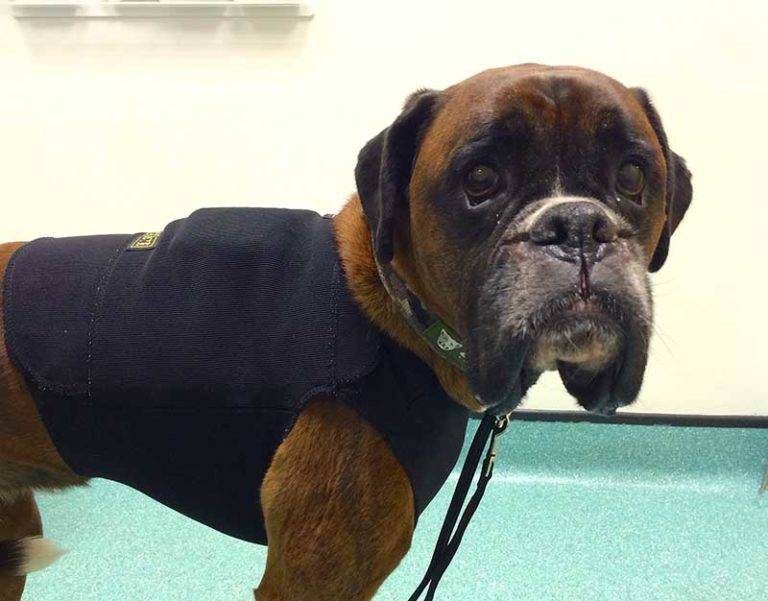 Holter Vests | HeartVets