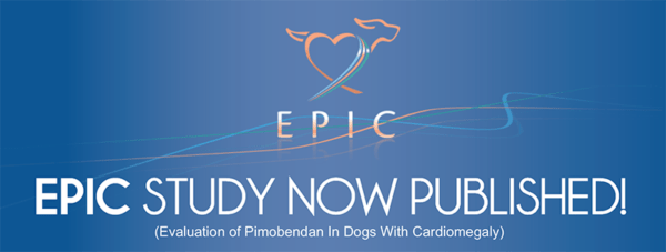 Mitral Valve Disease Staging (EPIC Trial) | HeartVets