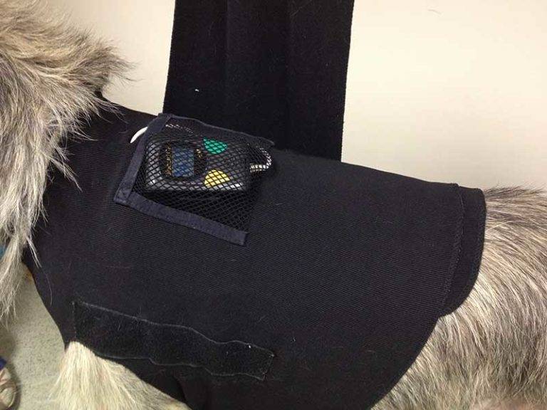 Holter Vests | HeartVets