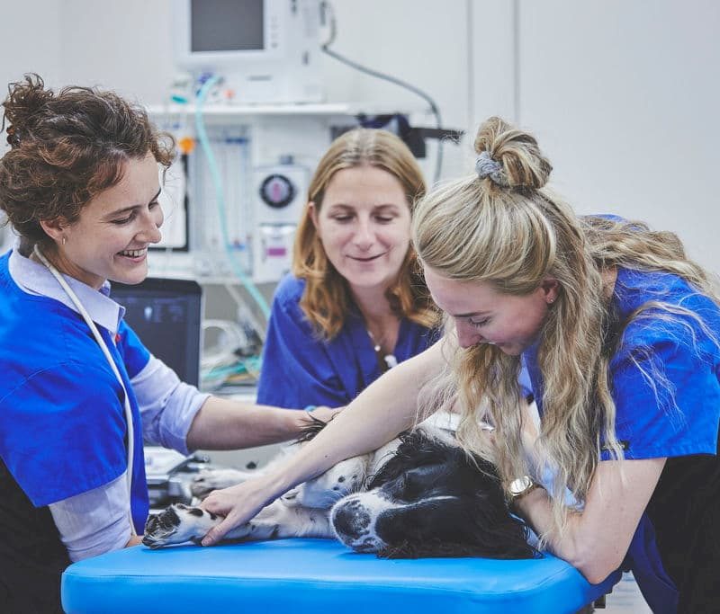 Cardiac Referral Service | Cardiac Procedures & Surgery | Contact Us